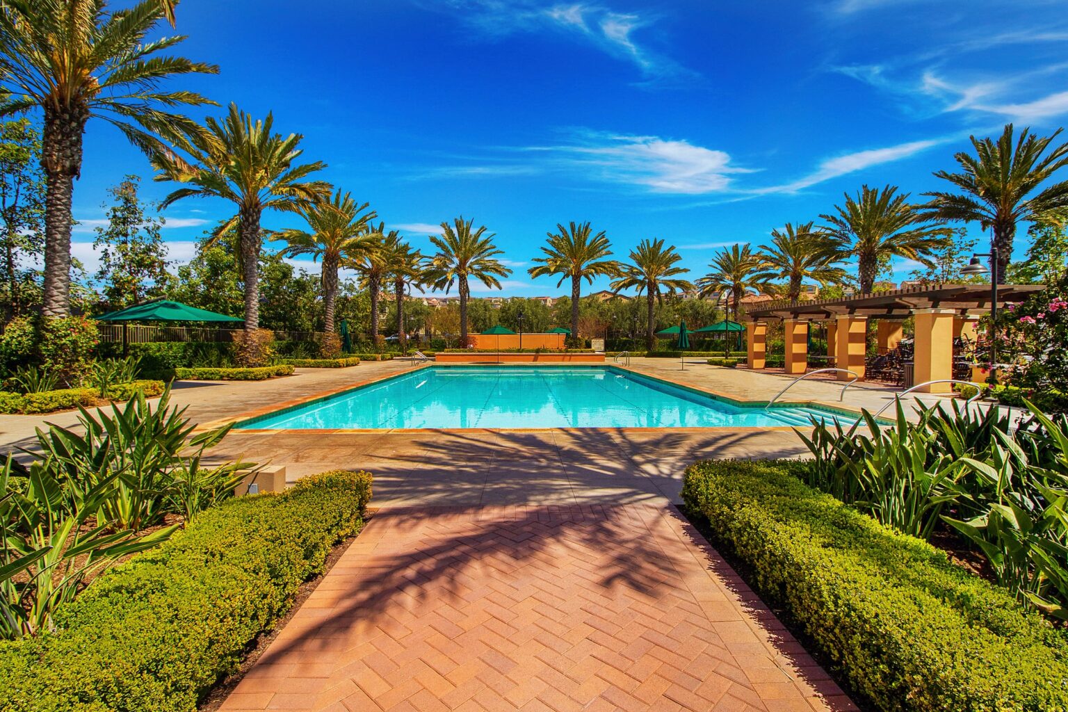 Gallery Archive - Villa Park Landscape